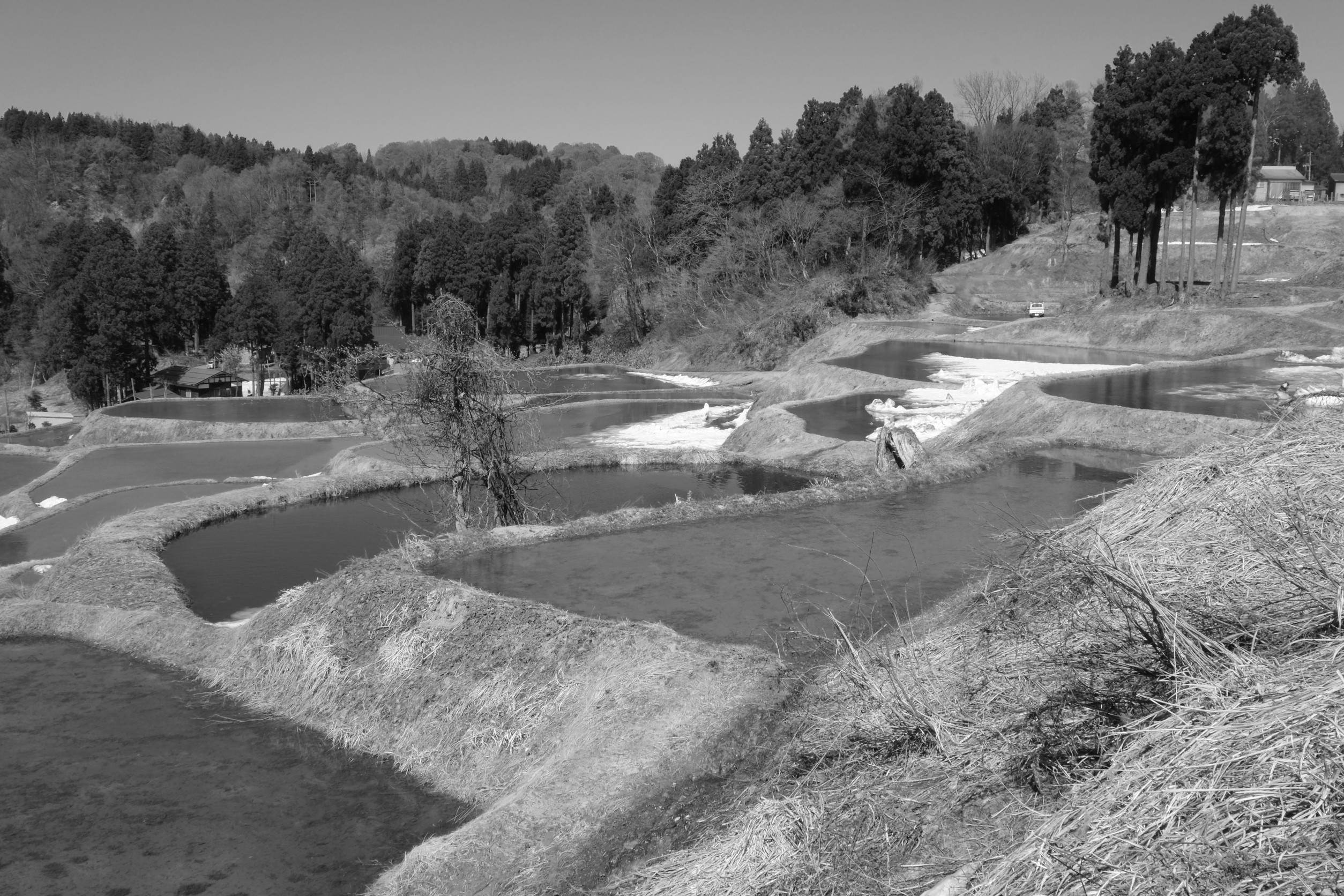 Gallery – JOETSU STORIES