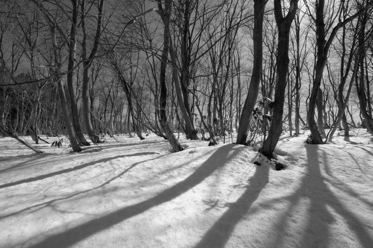 JOETSU – JOETSU STORIES