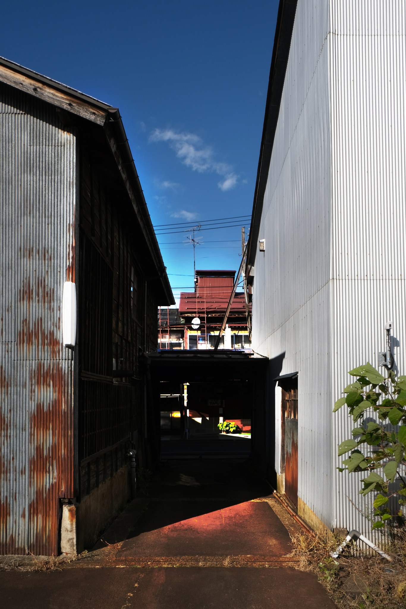 Graffiti art, or is it “street art”? – JOETSU STORIES