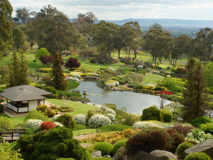 The COWRA BREAKOUT – JOETSU STORIES